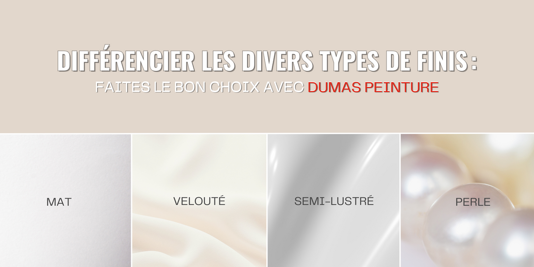 Différencier les finis de peinture | Guide par Dumas Peinture